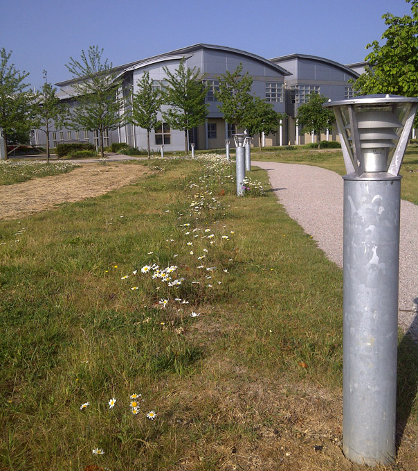 Sontec Electrical Contractors Projects